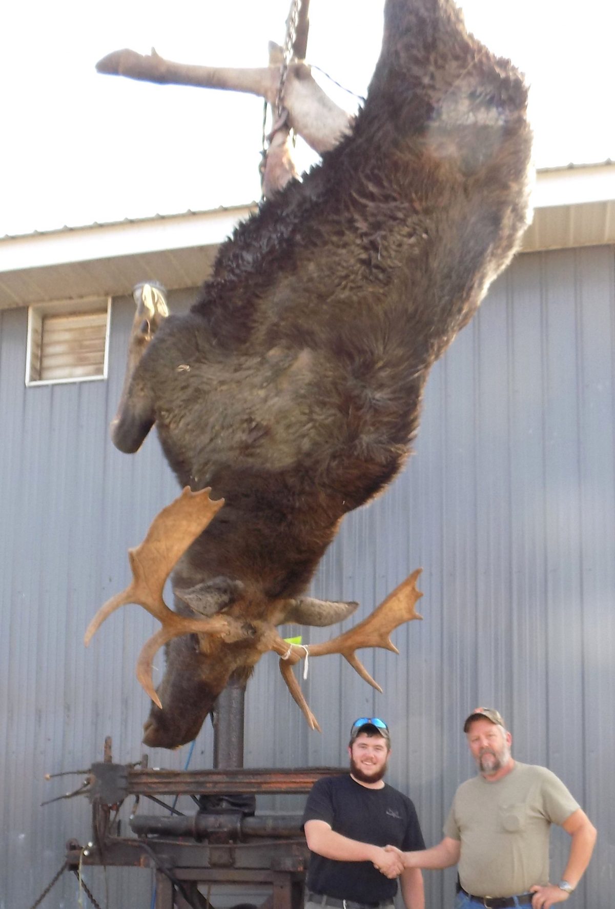 Maine Moose Hunts - Foggy Mountain Guide Service